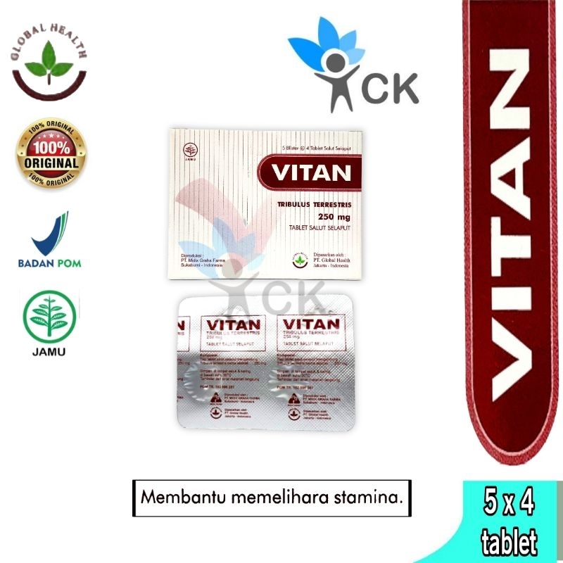 Jual VITAN 250 MG BOX ISI 20 suplemen kesehatan dan stamina | Shopee ...