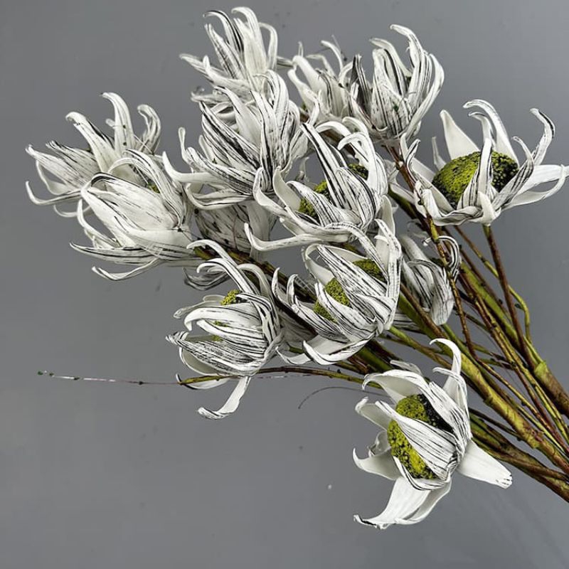 Jual EVA Sunflower / ylang ylang flower / bunga matahari / kenanga ...
