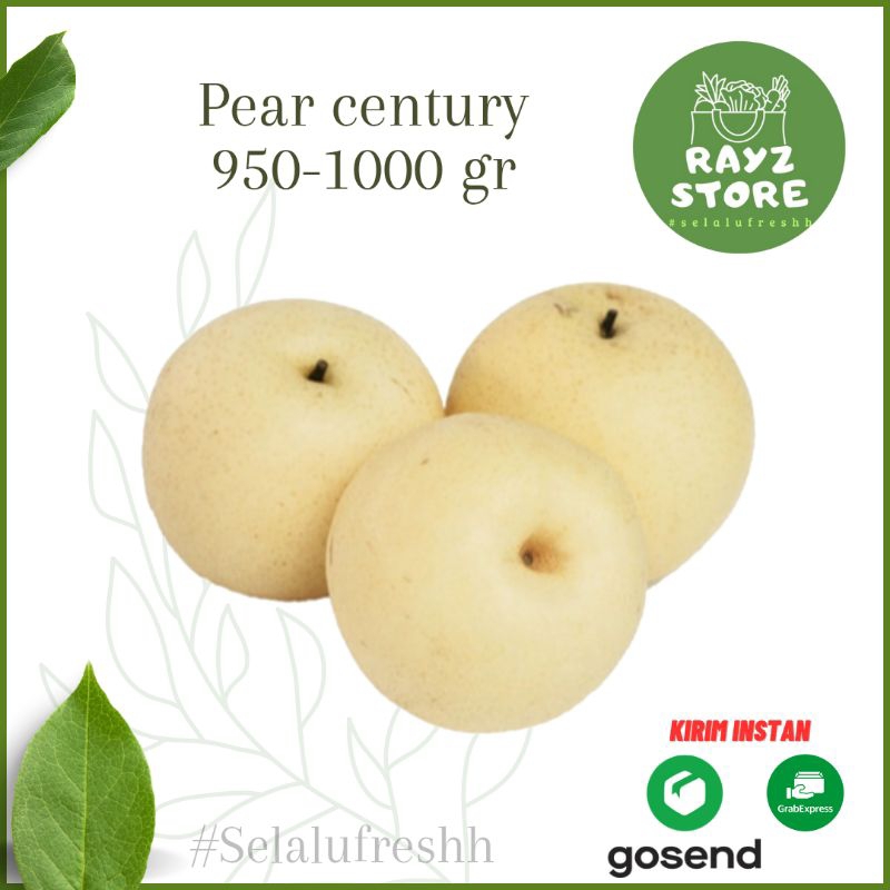 Jual Pear Century Segar 1 Kg - Buah Pear Berkualitas dan Segar untuk ...