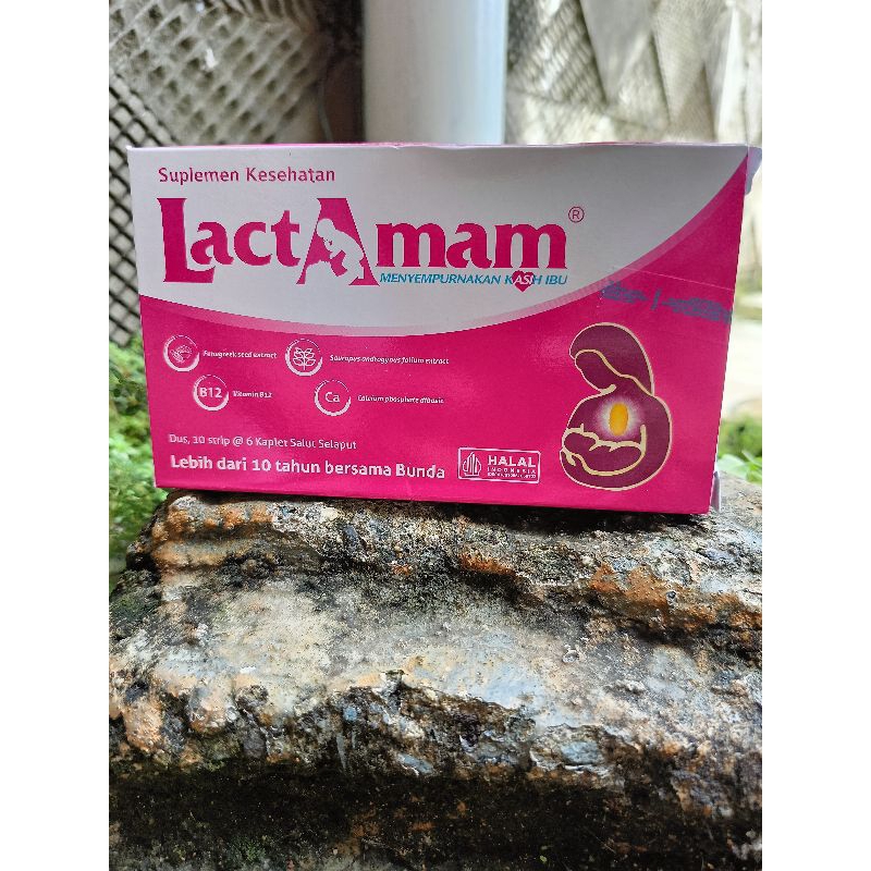 Jual Lactamam Booster Asi (Per strip @6 tablet) | Shopee Indonesia
