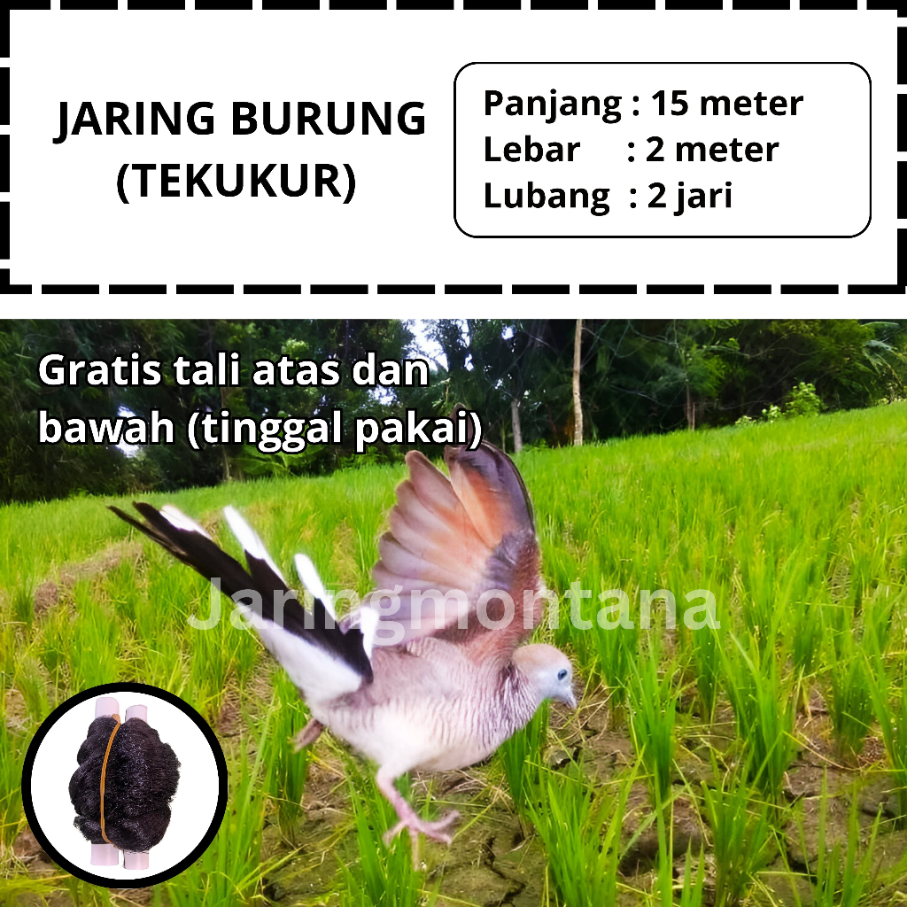 Jual JARING BURUNG PERKUTUT PIKAT JEBAKAN BURUNG SIAP PAKAI PANJANG 15 ...
