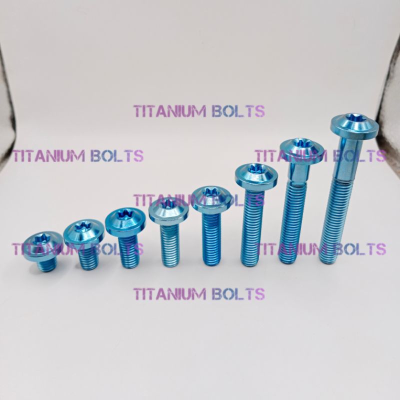 Jual Baut Titanium Payung M8 / Drat 12 Panjang 1 Cm - 10 Cm Titanium Bolts GR5 Original | Shopee ...