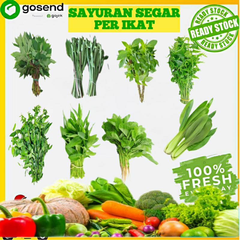Jual sayuran kangkung -daun katuk - daun pakis- Daun ubi - genjer ...