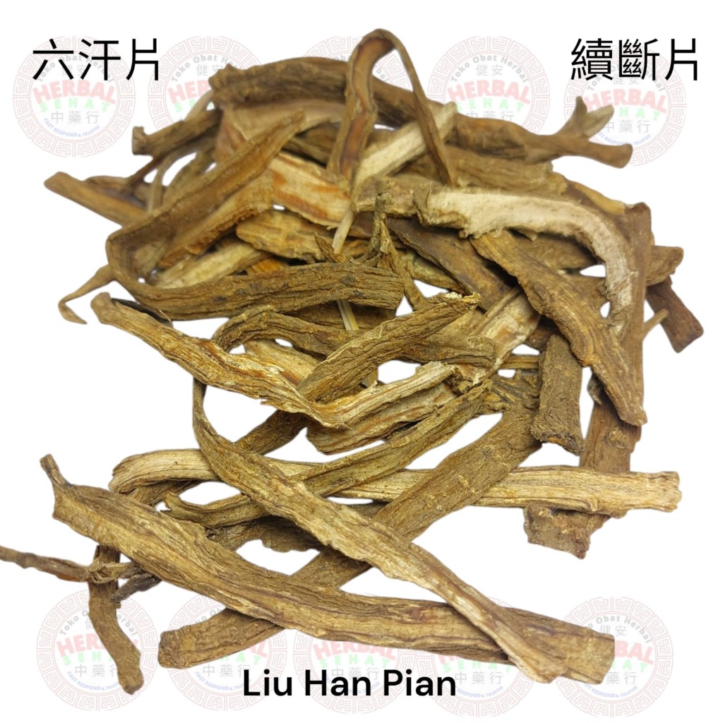Jual Xu Duan Pian / Liu Han Pian Radix Dipsaci - Liu Hon - Siuk Thon ...