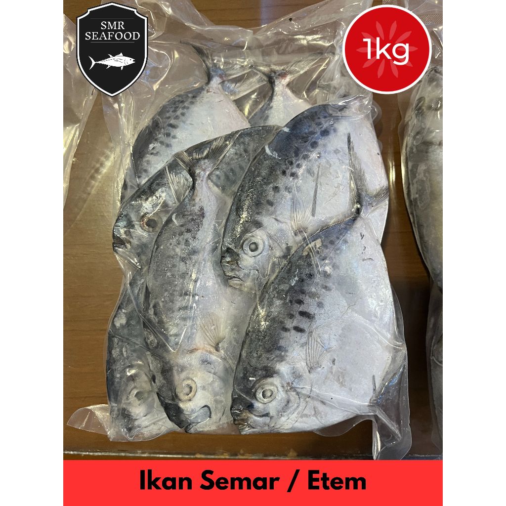 Jual Ikan Semar / Etem / Bagong / Ani-Ani / Moonfish | Frozen Beku Utuh ...