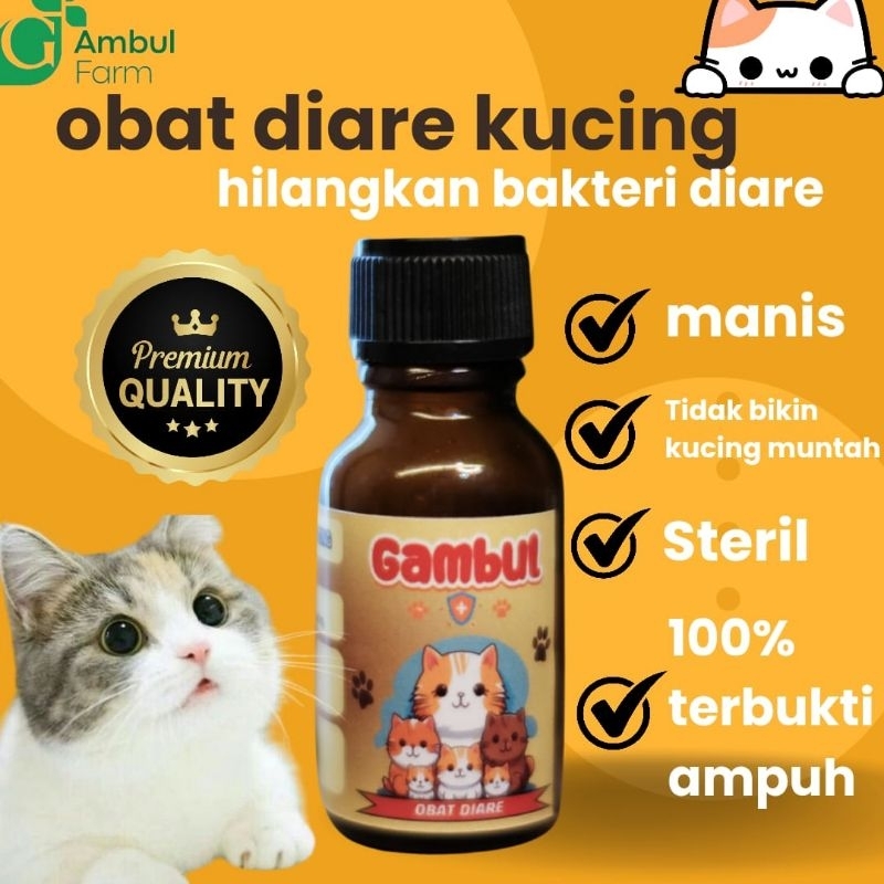 Jual obat diare kucing ampuh. mengatasi diare pada kucing | Shopee ...