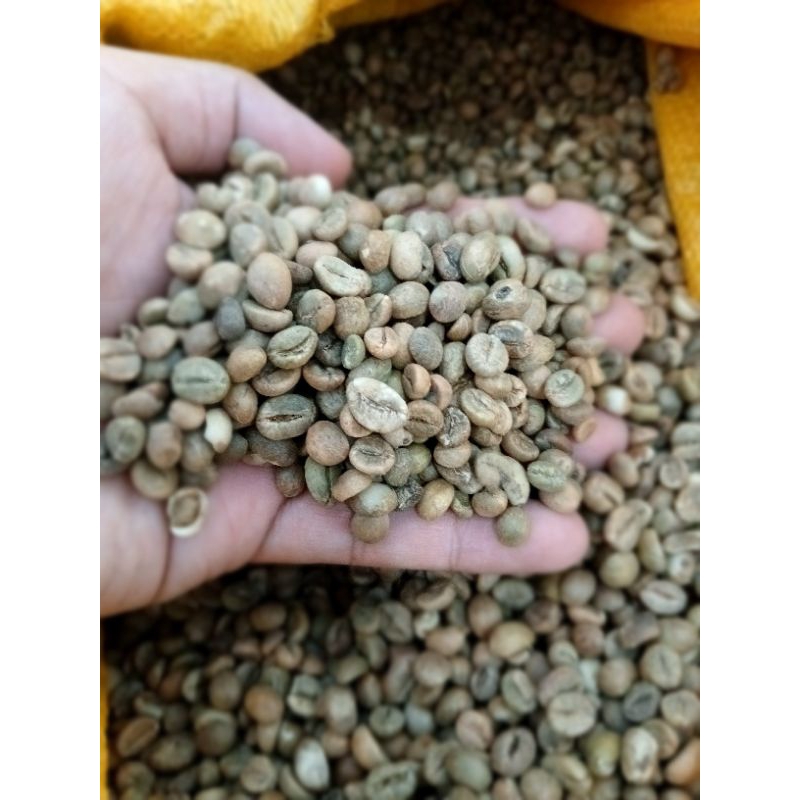 Jual GREEN BEAN KOPI ROBUSTA TORAJA MAMASA GRADE 2 - 1 KG (BIJI KOPI ...