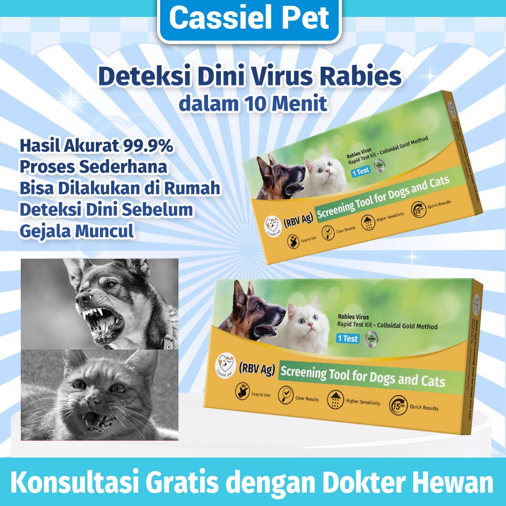 Jual Cassiel Pet Rapid Test Kit Rabies untuk Anjing Kucing - Deteksi ...