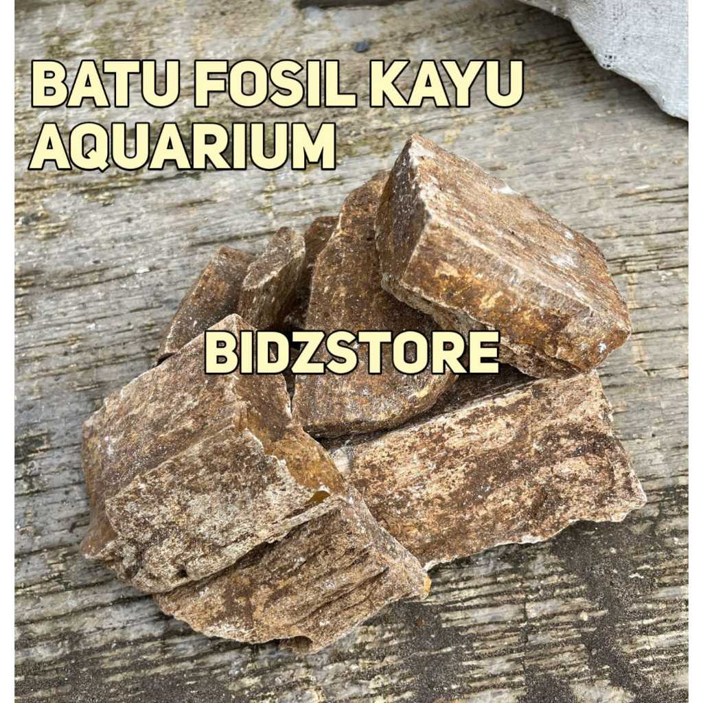 Jual Batu Fosil kayu Aquarium Aquascape 1kg | Shopee Indonesia
