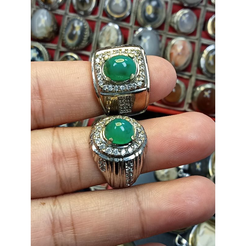 Jual Bacan Doko Ngeristal (Bacan Coklat) | Shopee Indonesia