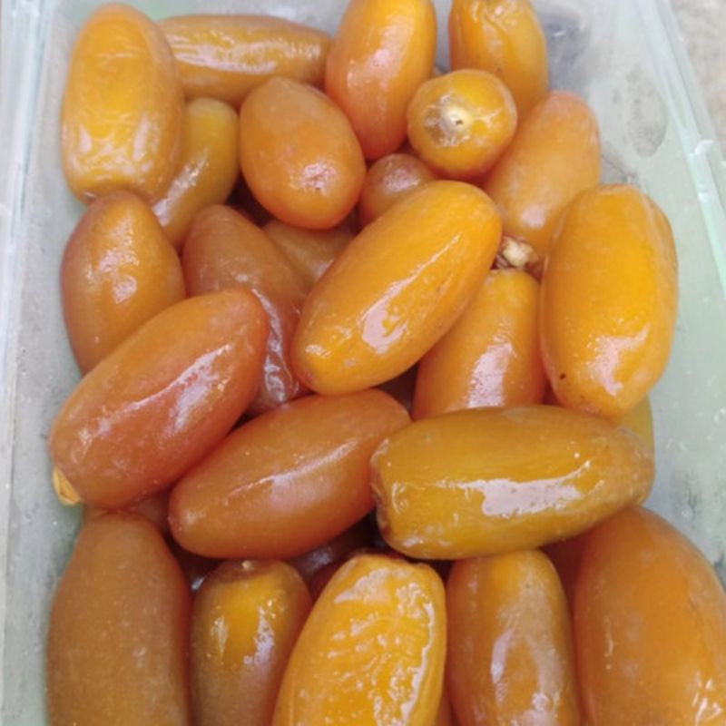 Jual Kurma Ruthob//Kurma Muda Libya 1kg Fresh | Shopee Indonesia