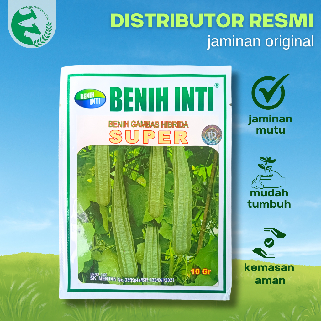 Jual Benih Oyong Gambas SUPER 10 gram Cap Benih INTI Unggul Panjang ...