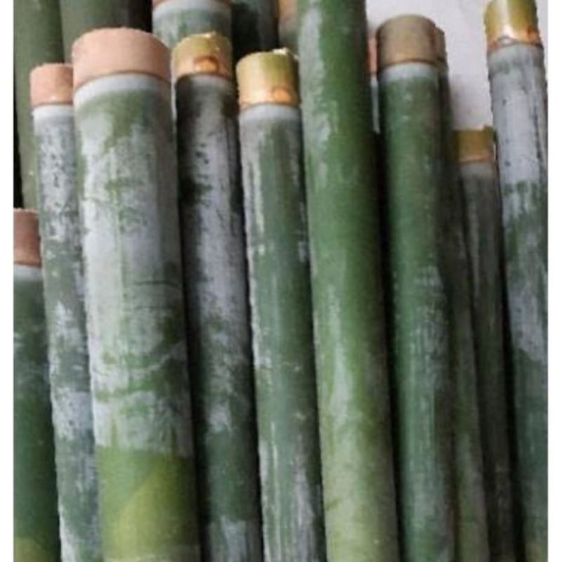 Jual potongan bambu hijau, stek bambu, tanaman bambu hijau ...