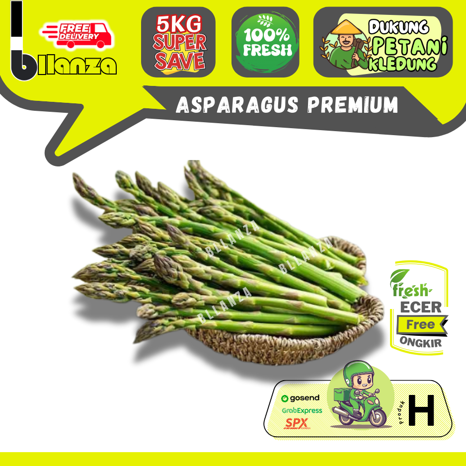Jual Bllanzanow | Asparagus Premium — Sayur Gunung ECER | Shopee Indonesia