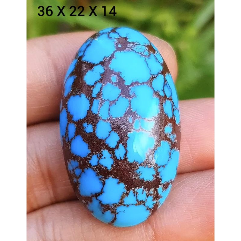 Jual pirus Mesir lawasan biru panci solid tooop | Shopee Indonesia