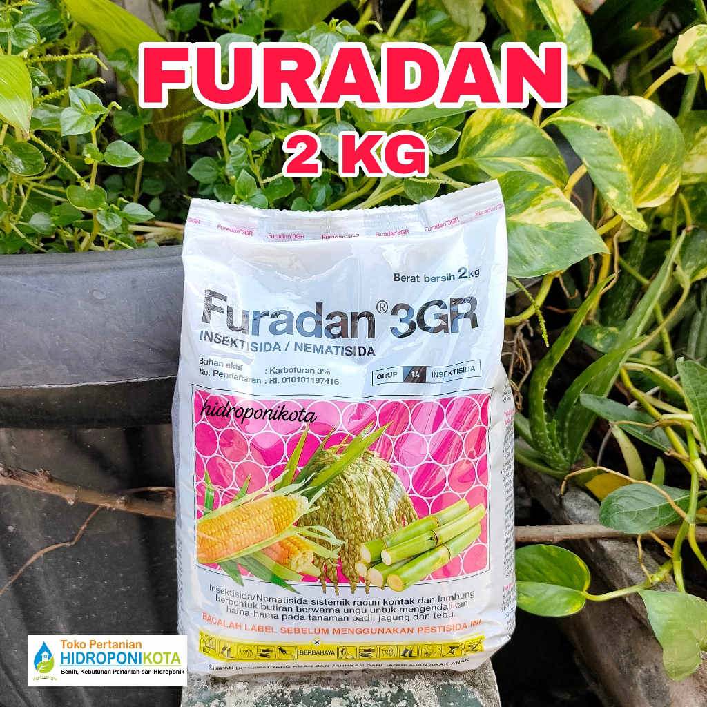 Jual FURADAN 3GR kemasan 2KG - Insektisida Nematisida /Obat Pembasmi ...