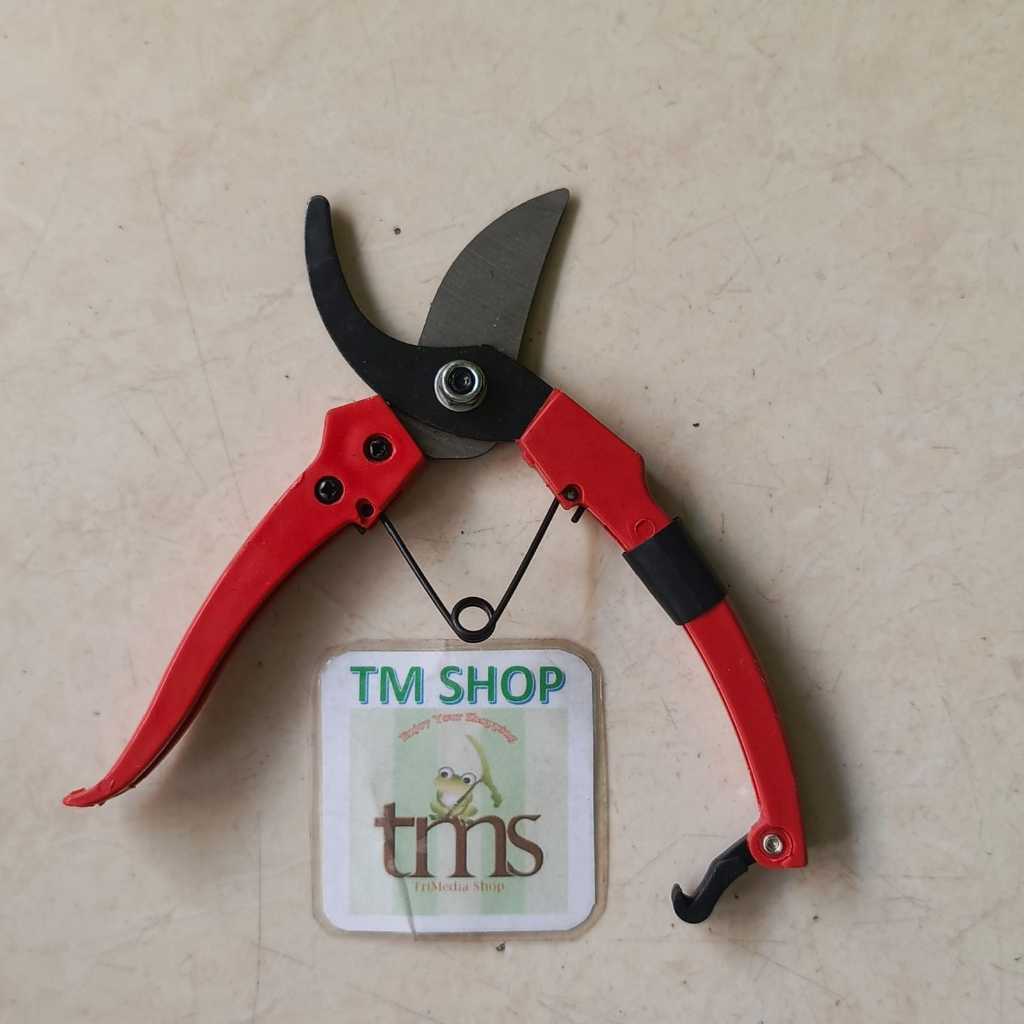 Jual Gunting Dahan Stek Bunga Tiger - Ranting Bunga TANPA KEMASAN ...