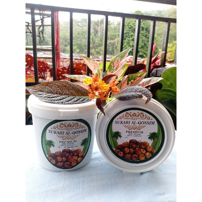 Jual kurma sukari premium Ember 850gr(packing Bublewarp) | Shopee Indonesia