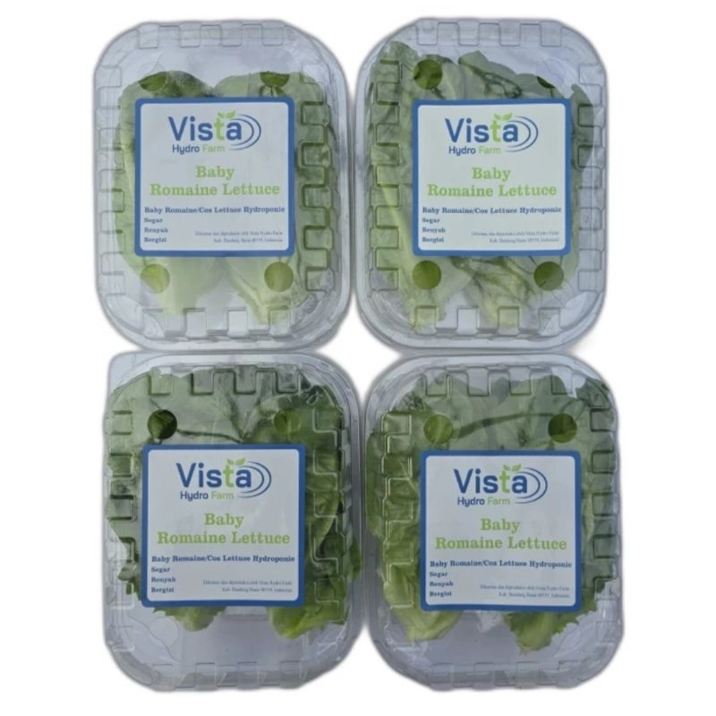 Jual Selada Baby Cos Romaine Lettuce 1Kg hidroponik | Shopee Indonesia