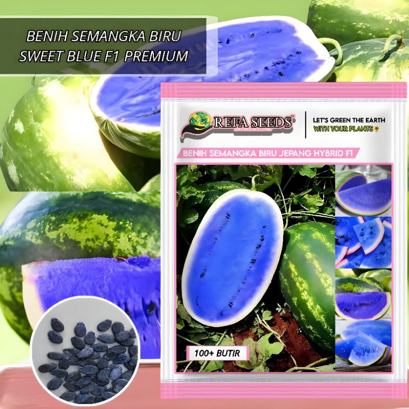 Jual REFA (100 Butir) Benih Semangka Biru Jepang Hybrid F1 Kemasan original / Biji Semangka unik ...
