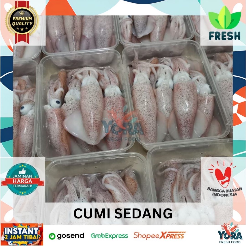 Jual CUMI SEDANG FRESH FROZEN PREMIUM SIAP MASAK TERMURAH | Shopee ...
