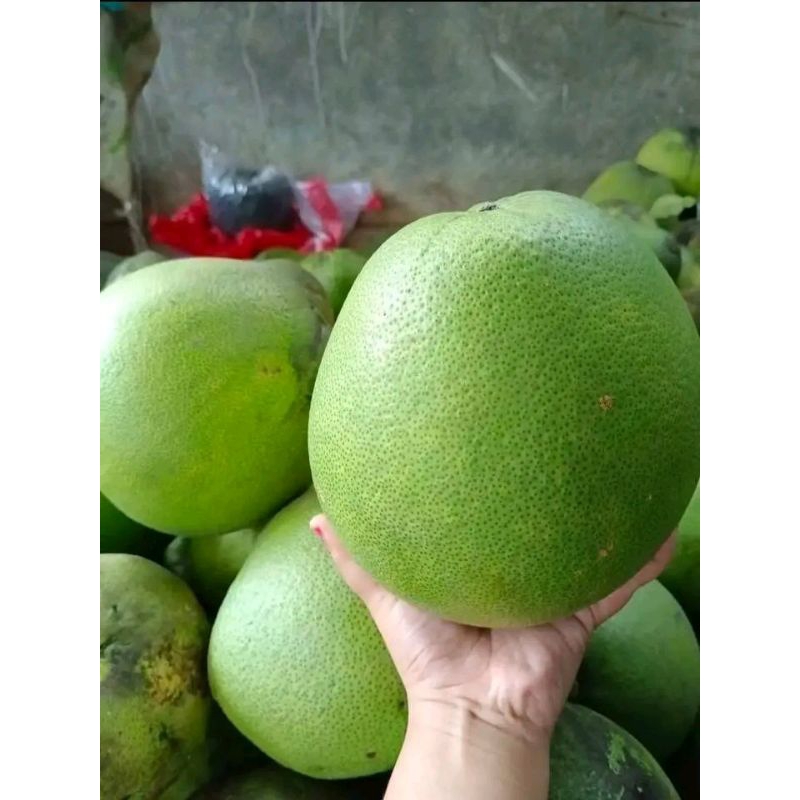 Jual Jeruk Pamelo Muria 800gram | Shopee Indonesia