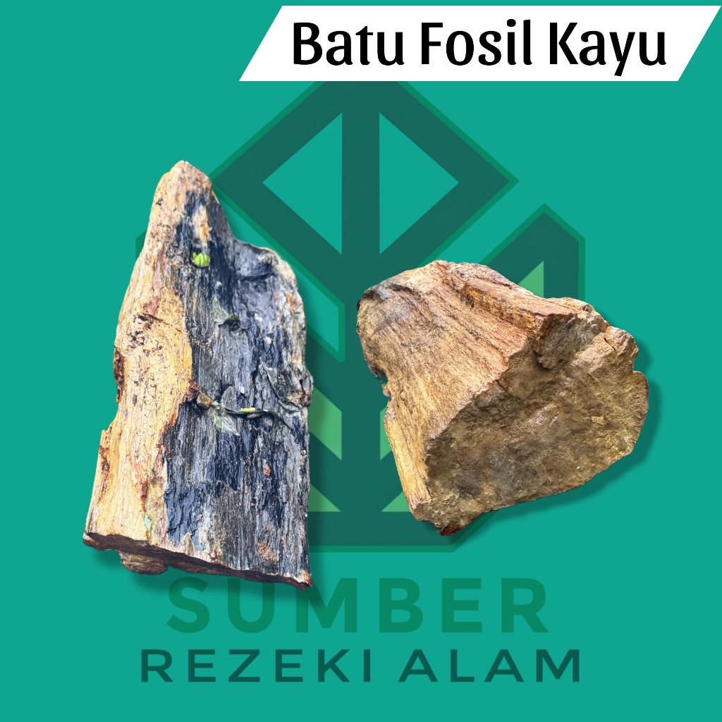 Jual BATU FOSIL KAYU 1KG SERAT KAYU KWALITAS PREMIUM FOR BATU AKIK ...