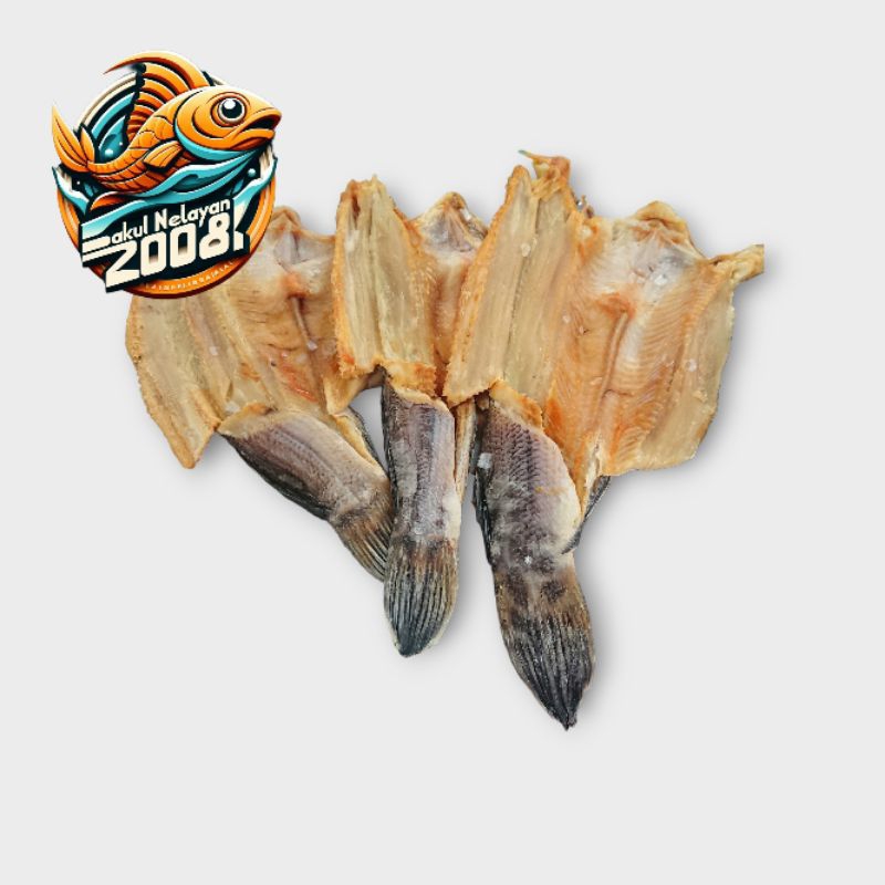 Jual ikan gabus asin | Ukuran sedang 500gr | Shopee Indonesia