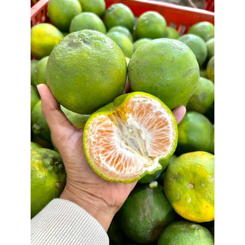 Jual Jeruk Keprok Batu 55 (1kg)/ Jeruk Kupas Fresh Asli Kota Batu ...