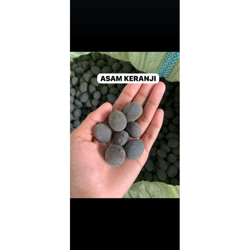 Jual Asam keranji 500gr | Shopee Indonesia