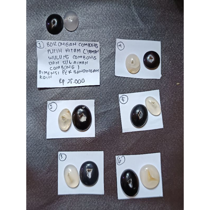Jual borongan combong putih hitam (yaman wulung combong dan sulaiman ...
