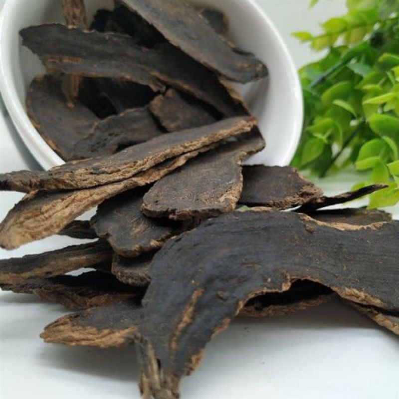 Jual Yuan Sem (Iris)/ 元参 (Iris) | Shopee Indonesia