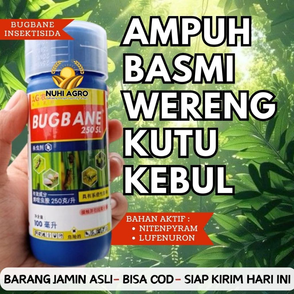 Jual BUGBANE INSEKTISIDA BASMI SEGALA HAMA WERENG WALANG SANGIT THRIPS KUTU KEBUL DAN KUTU ...