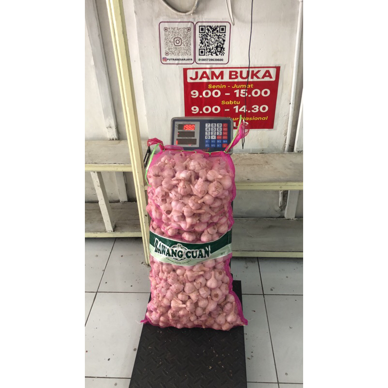 Jual BAWANG KATING 1kg | Shopee Indonesia