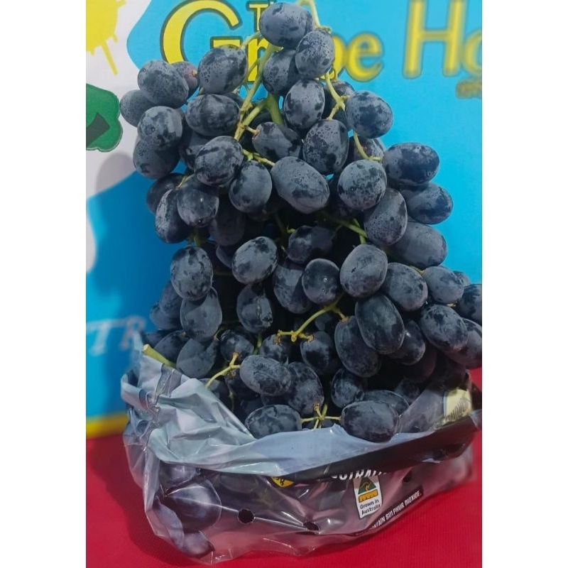 Jual ANGGUR BLACK AUTUMN AUSTRALIA 500 GR MANIS | Shopee Indonesia