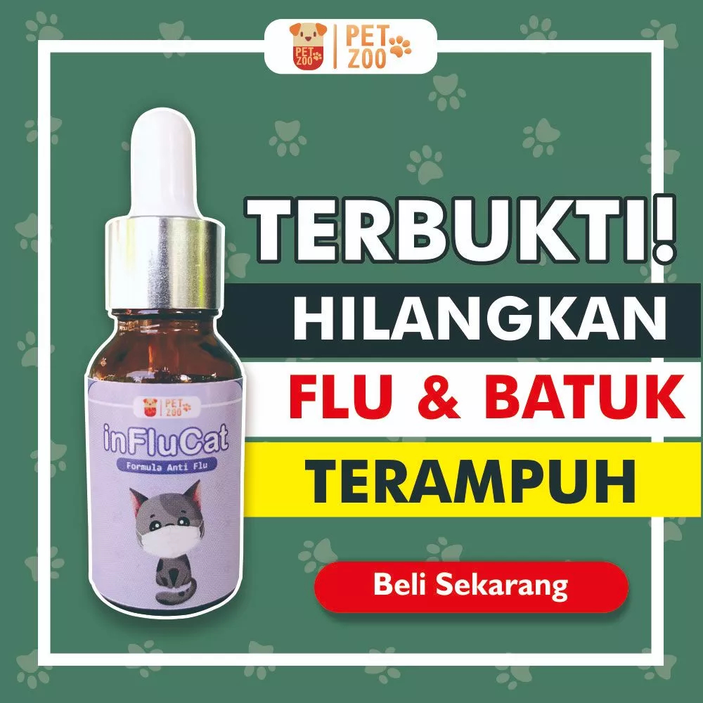 Jual Obat Flu Kucing/Obat Batuk Pilek Kucing/Obat Flu dan Batuk Kucing ...