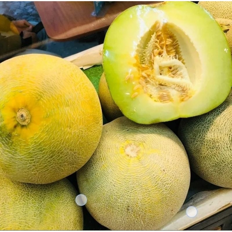 Jual Buah Melon Kuning 1 Buah - Fresh, Manis dan Segar | Shopee Indonesia