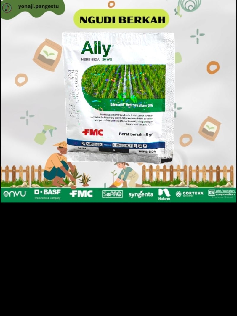 Jual ally plus Ally Plus herbisida pada tanaman padi | Shopee Indonesia