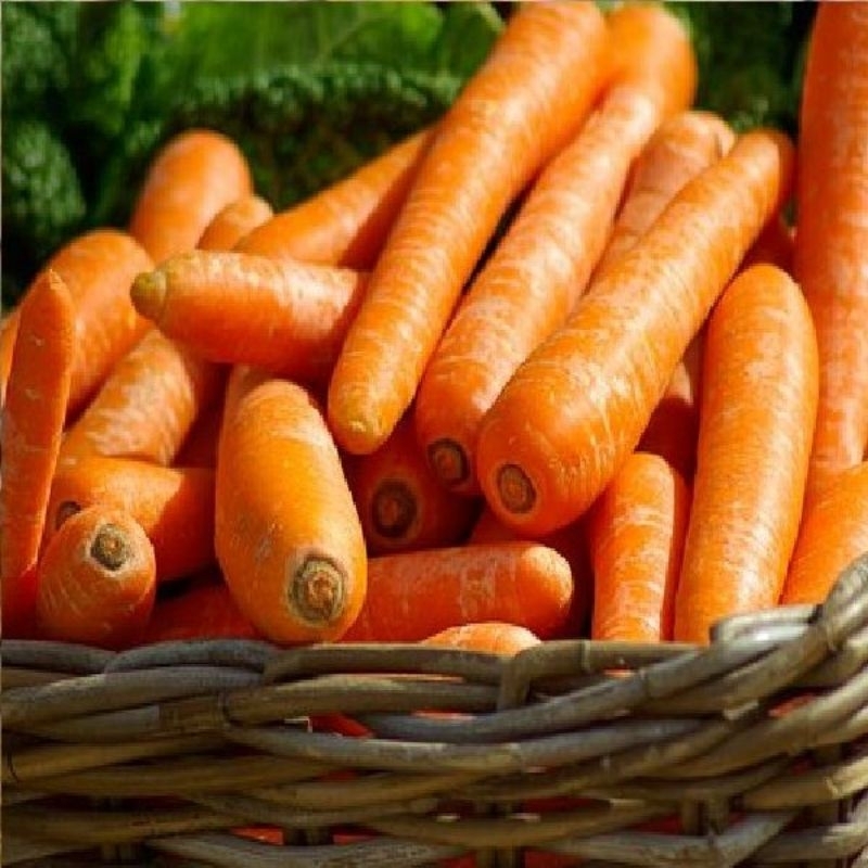 Jual Wortel Lokal 1kg | Shopee Indonesia