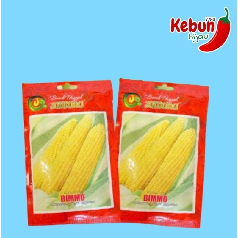 Jual Benih jagung manis bimmo +- 130 butir 25 gr | Shopee Indonesia
