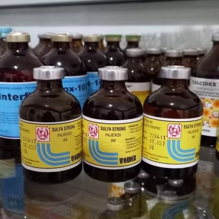Jual Sulfa Strong 100 ml obat mencret kembung koksi dan gangguan ...