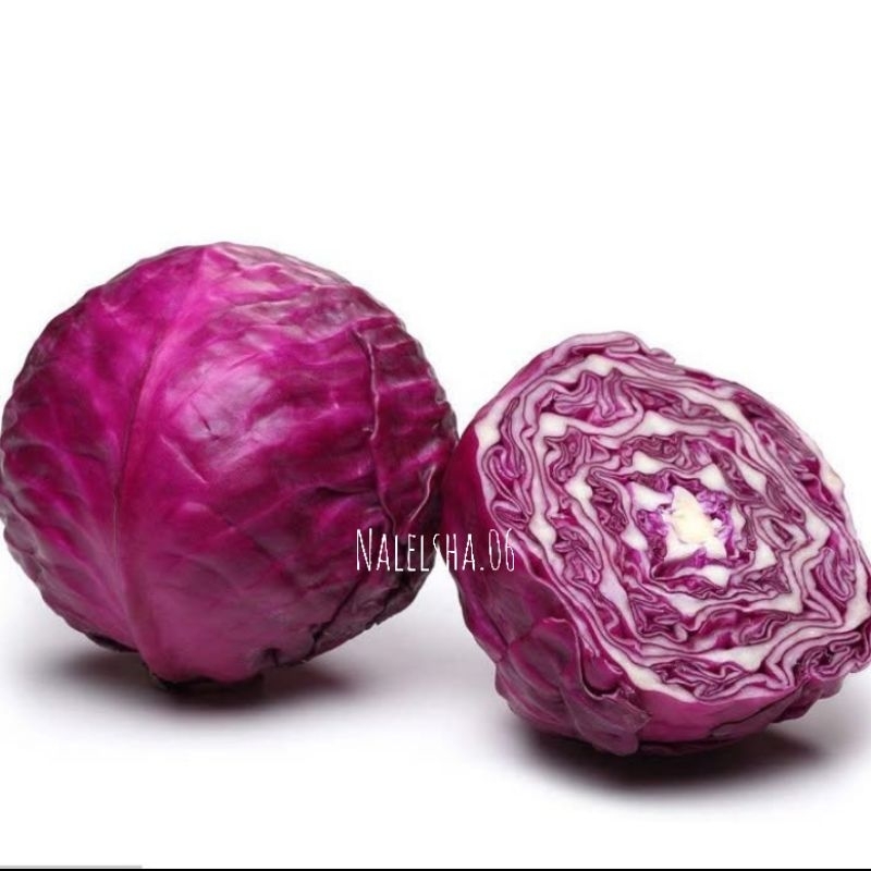 Jual Kol merah Ungu segar1kg | Shopee Indonesia