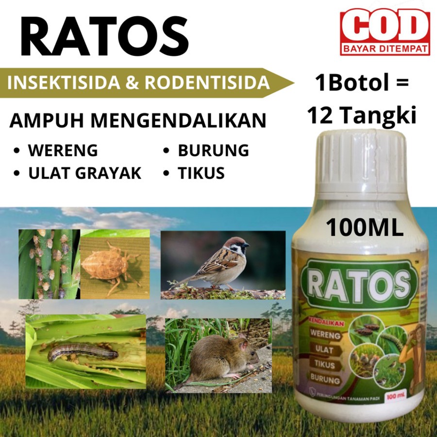Jual RATOS Insektisida & Rodentisida - Pengendali WERENG, ULAT GRAYAK ...