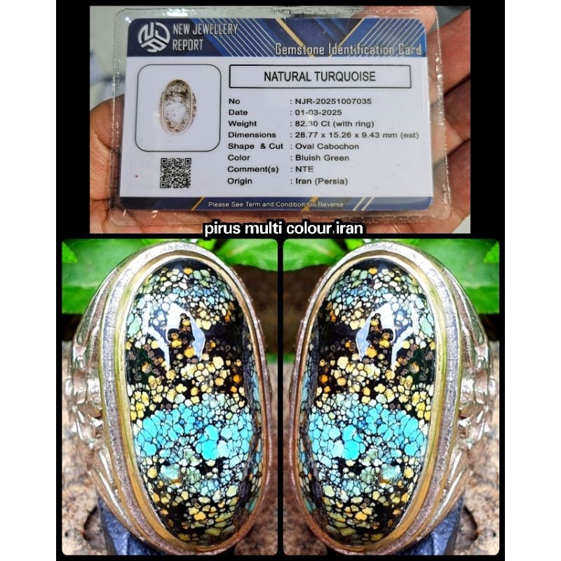 Jual pirus ceplok kuro multi colour gradasi persian + memo lab | Shopee ...