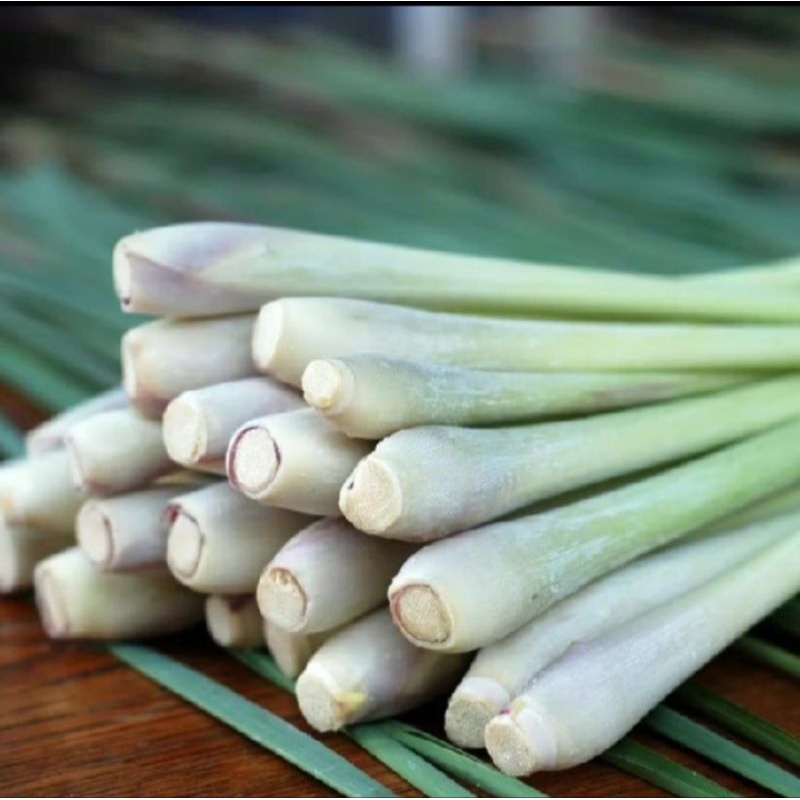Jual Sereh Serai Fresh Segar 1Kg | Shopee Indonesia