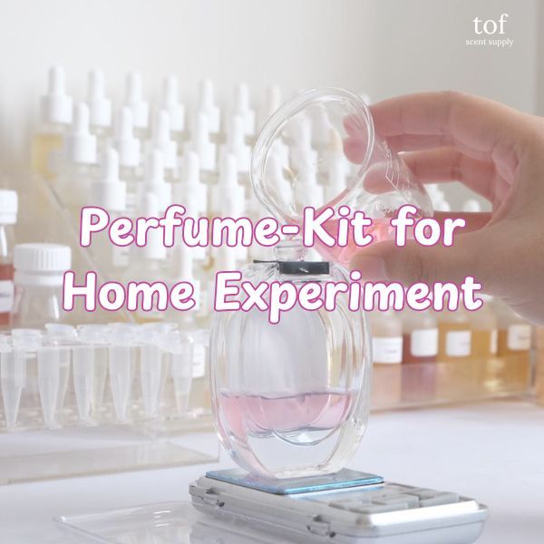 Jual PERFUME KIT HOME EXPERIMENT | Shopee Indonesia