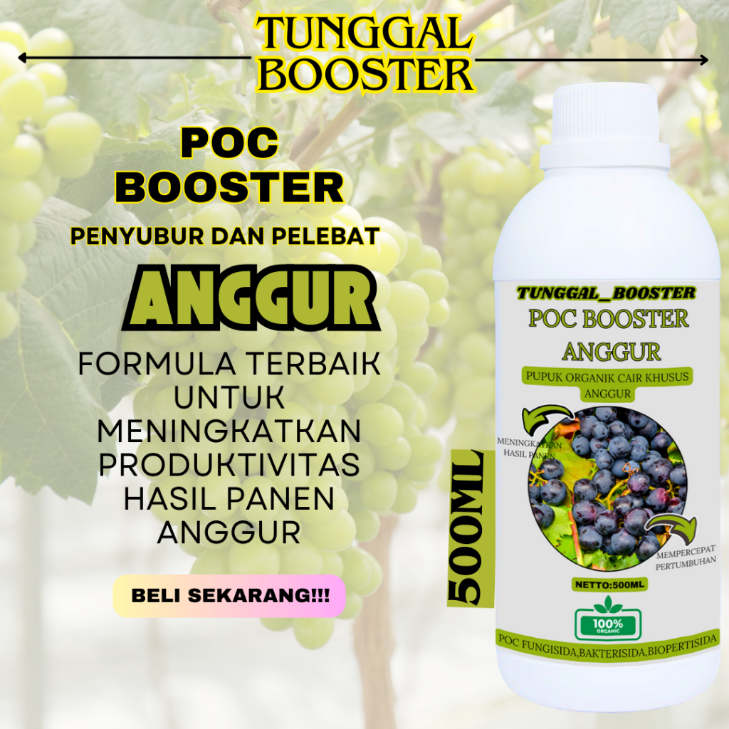 Jual POC Pupuk Organik Cair Tanaman Anggur Premium 500ml-Booster Pelebat dan Perangsang Buah ...