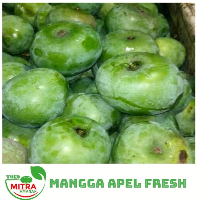 Jual MANGGA MUDA APEL FRESH 600 Gr | Shopee Indonesia