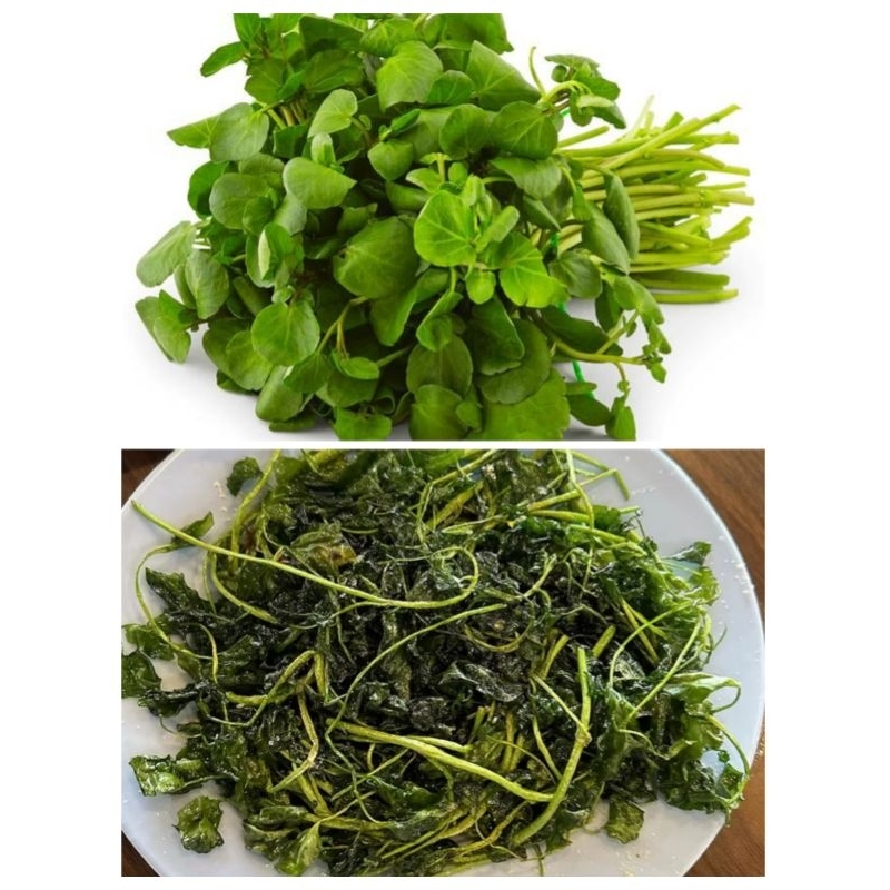 Jual Selada Air Jukut Segar Per Ikat | Shopee Indonesia