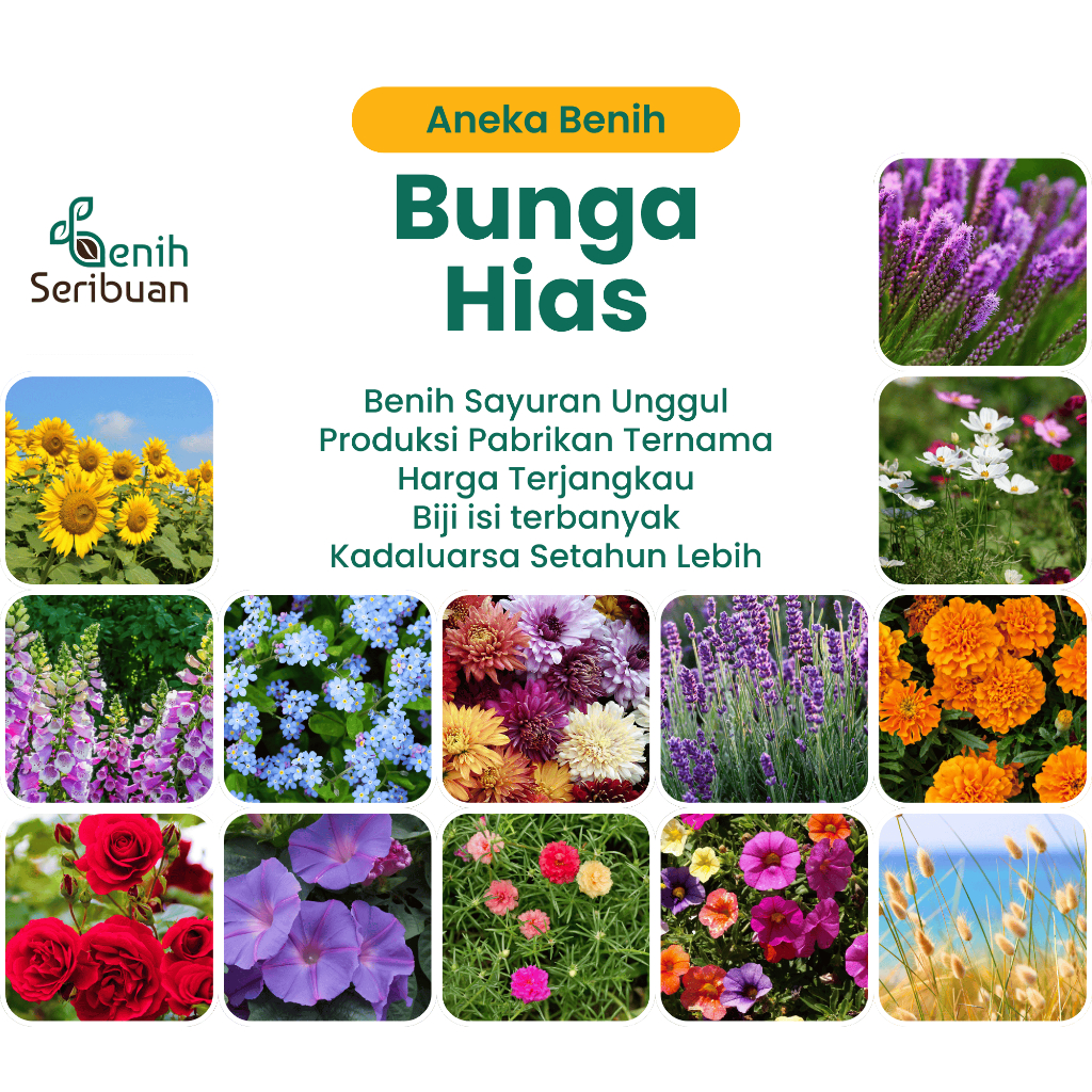 Jual BENIH SERIBUAN - Aneka Benih Bunga & Tanaman Hias Varian Unggulan ...